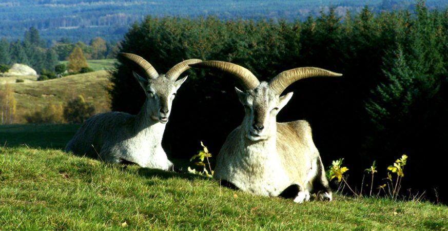 National Parks and Wildlife Sanctuaries of Jammu and Kashmir