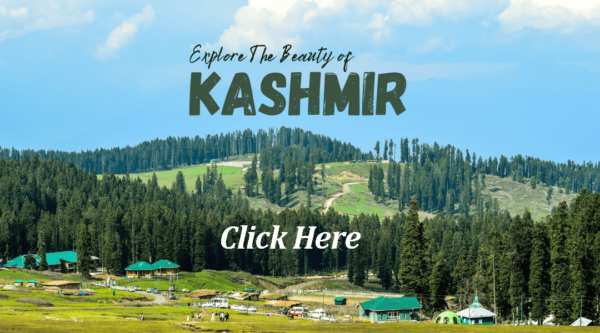 Kashmir in August 2025: A Guide To The Paradise on Earth