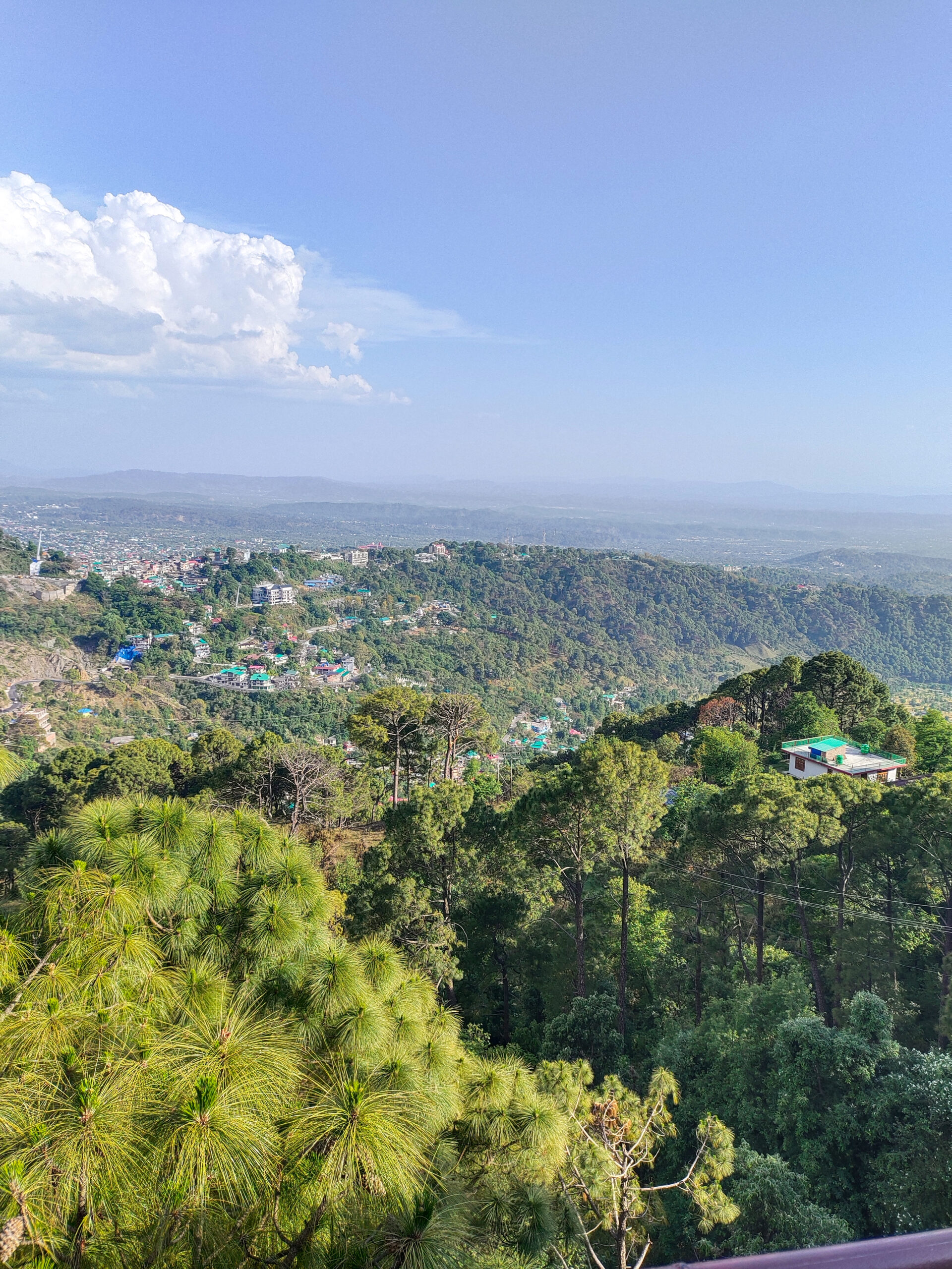 Discover the Serenity of Naddi Village in McLeod Ganj