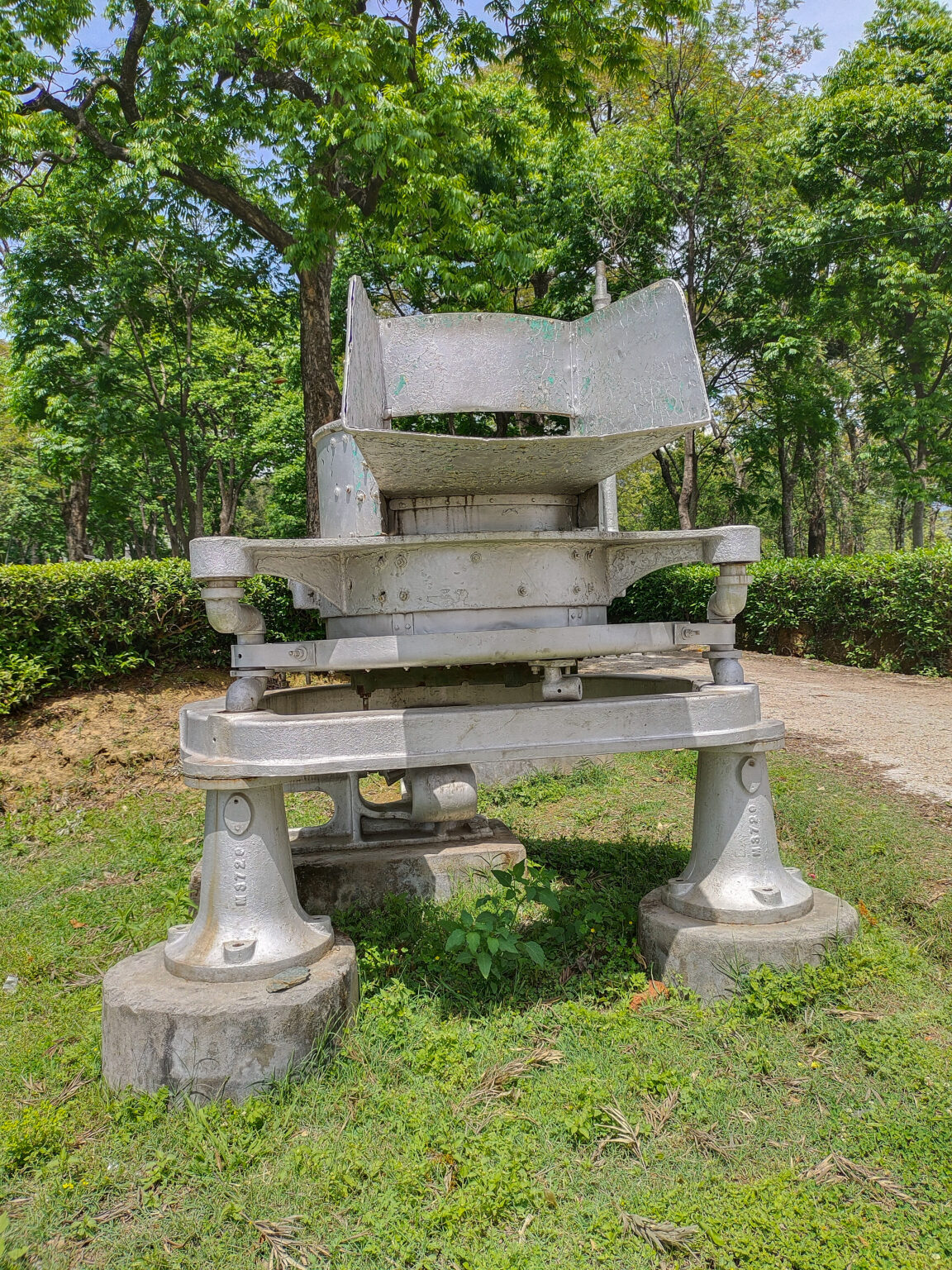 Explore the Magic of Palampur Wah Tea Garden Tour