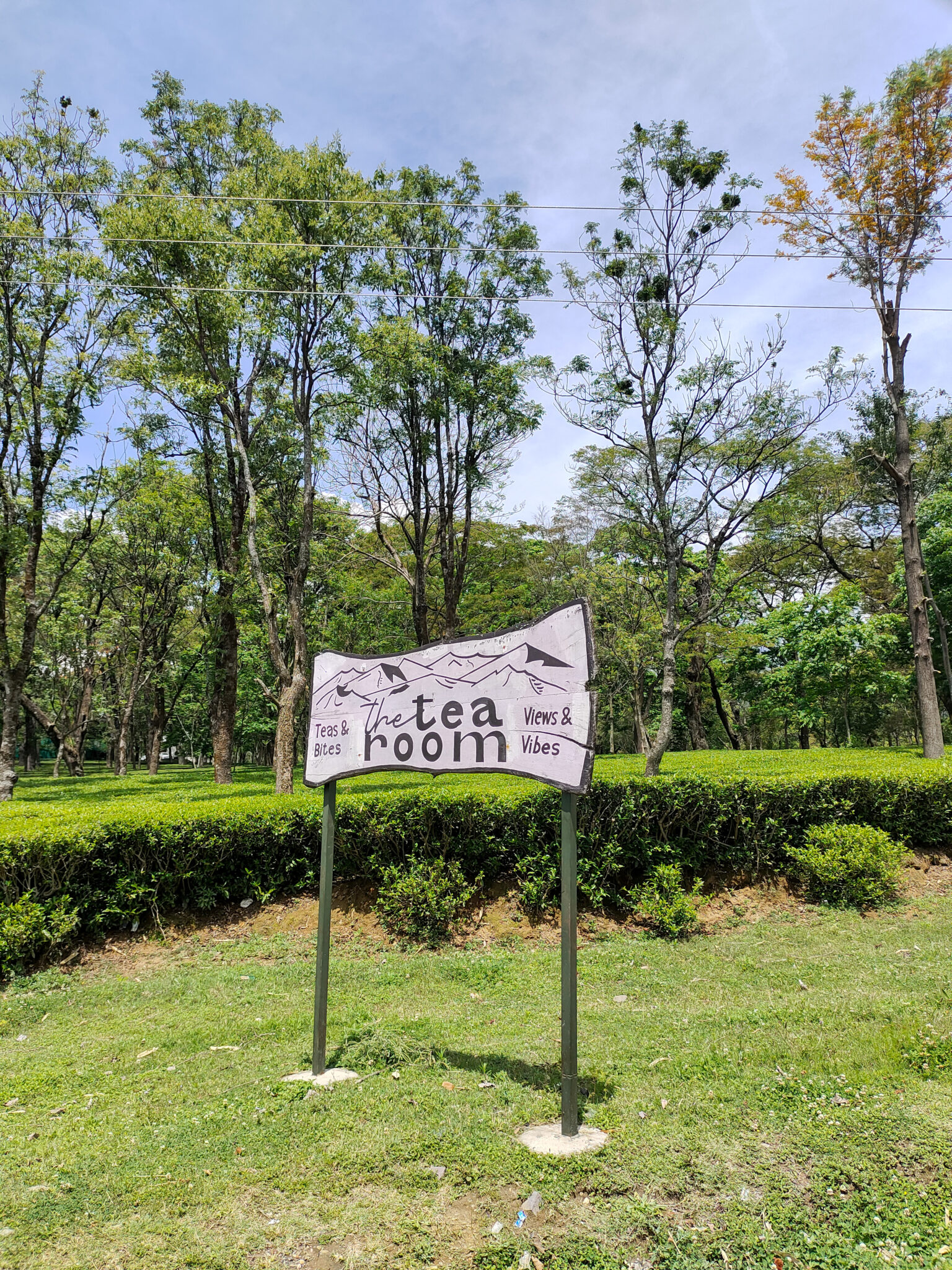 Explore the Magic of Palampur Wah Tea Garden Tour