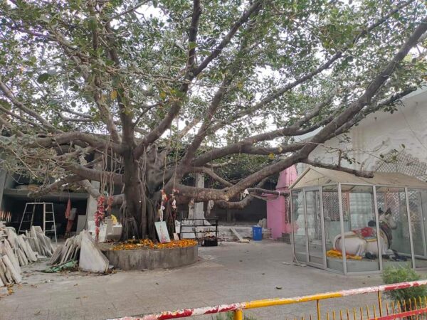 Aap Shambu Temple Jammu: History, Timings & How to Reach