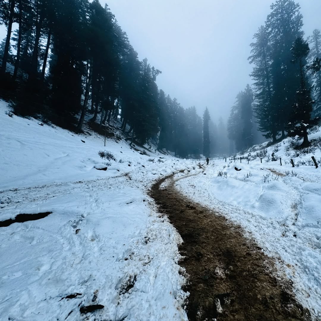 Baisaran Valley, Pahalgam: The Mini Switzerland of Kashmir