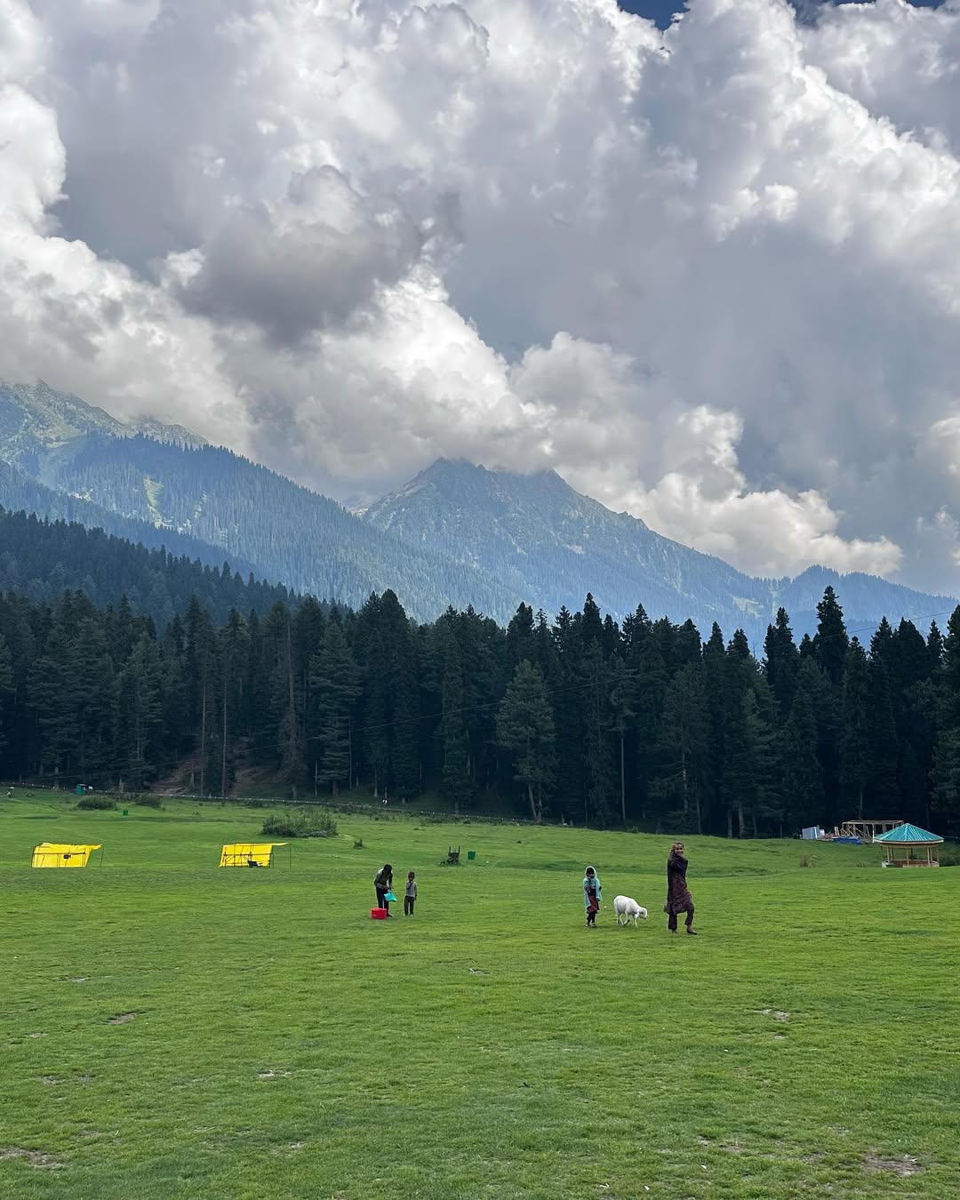 Baisaran Valley, Pahalgam: The Mini Switzerland of Kashmir
